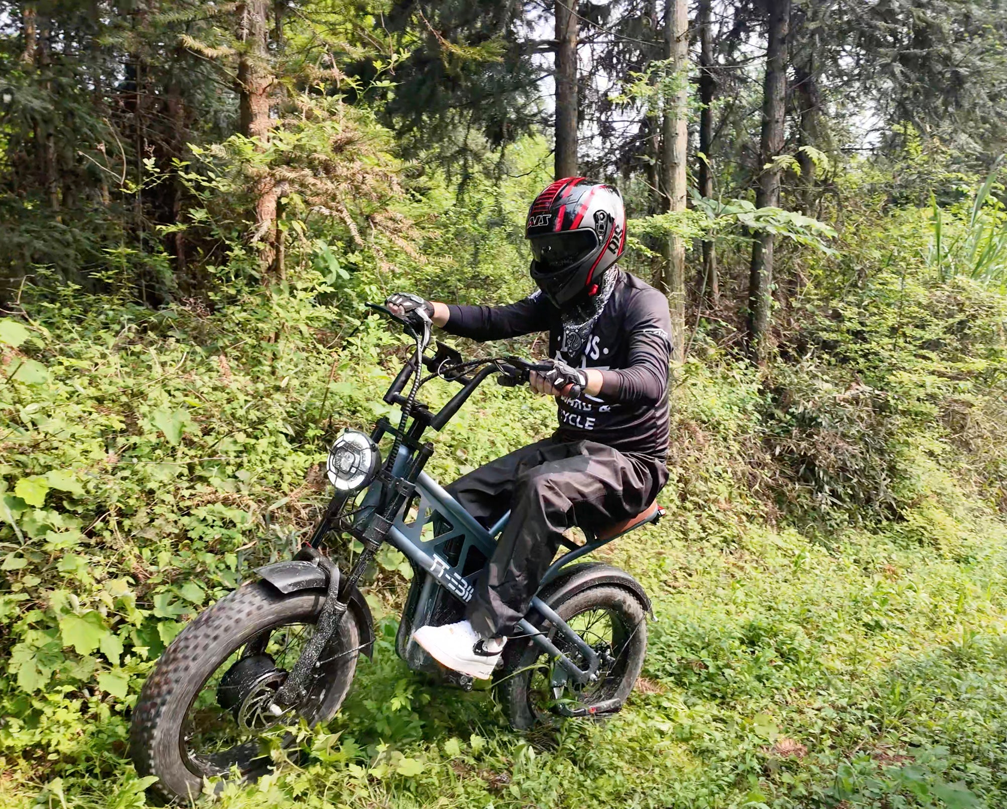 Understanding the Premium Pricing of Electric Bikes: A Deep Dive into ...