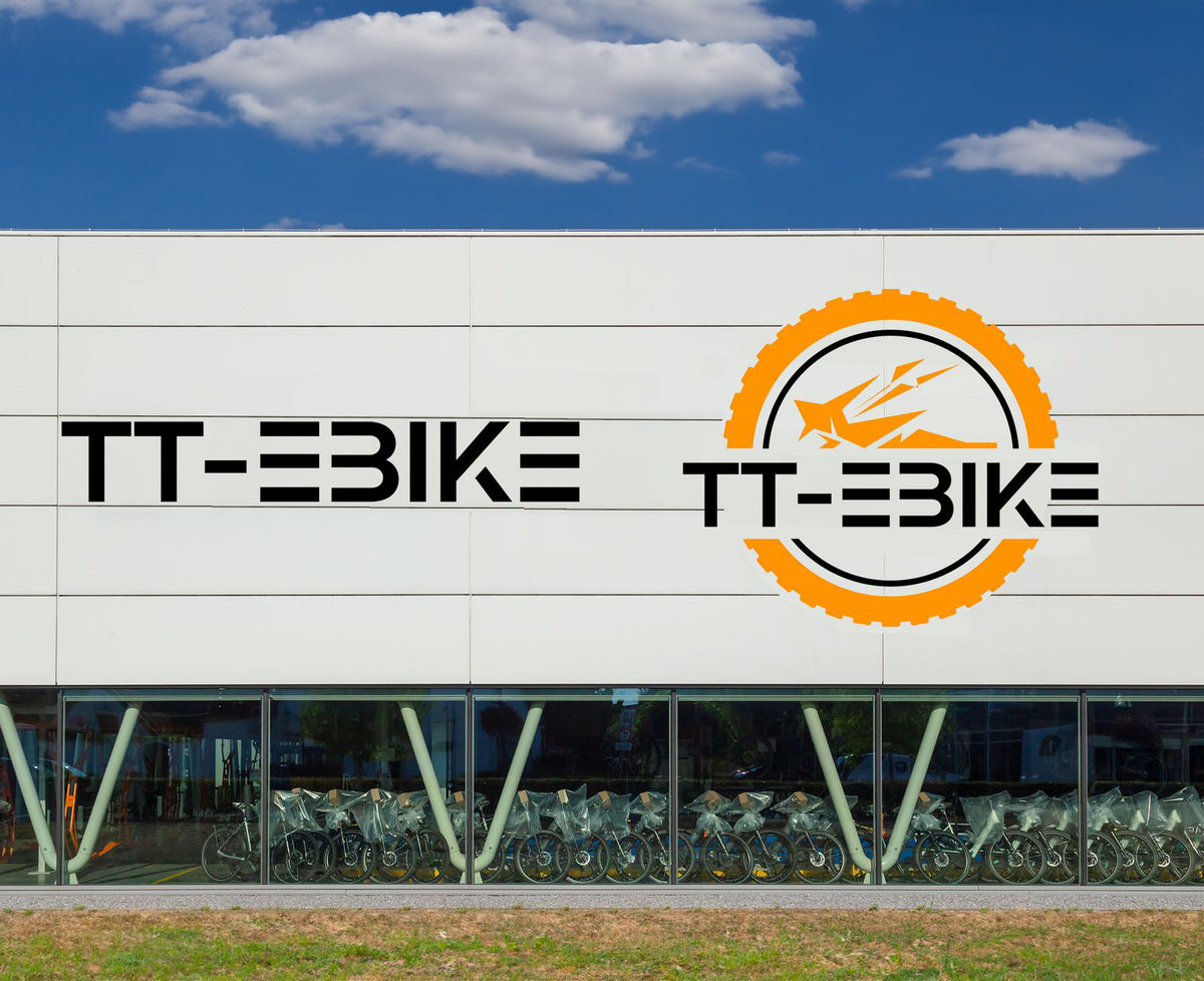 TT-EBIKE: Transforming Urban Transport With Dual Motor Bicycles